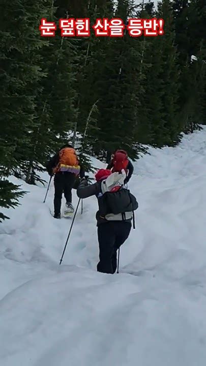 눈 덮힌 산을 등반하다 눈 겨울등반스노슈즈 Youtube