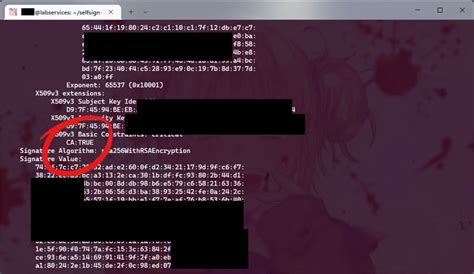 Trusted Self Signed Tls Certificates For Dummies W Thorough