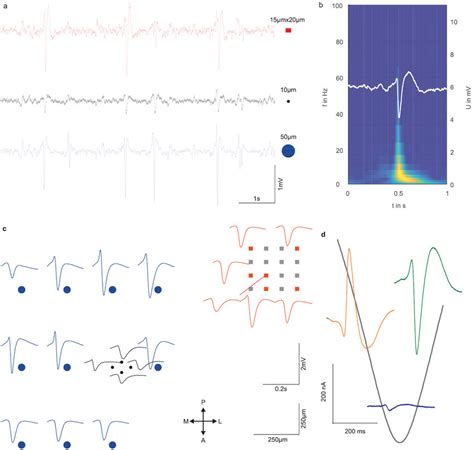 A Simultaneous Recordings Of A Graphene Transistor Red A 10 μm Download Scientific Diagram