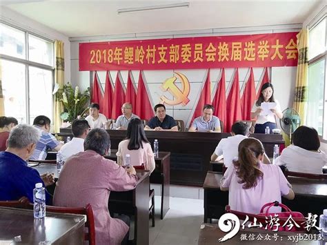 女性委员占4名一80后当选村支书！书峰乡率先完成村级党组织换届，呈现这些新亮点！