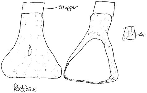 A Response To The Flask Problem Prepared By Maria Download