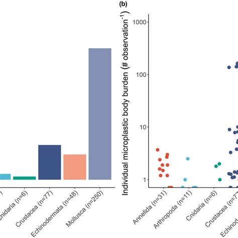 A Summary Of The Marine Benthic Invertebrates Investigated For
