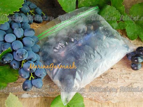 Как заморозить виноград на зиму в домашних условиях 11 фото в рецепте