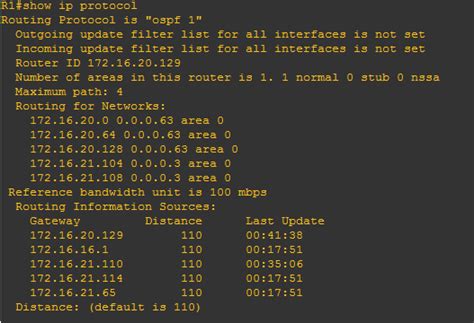 OSPF Verification