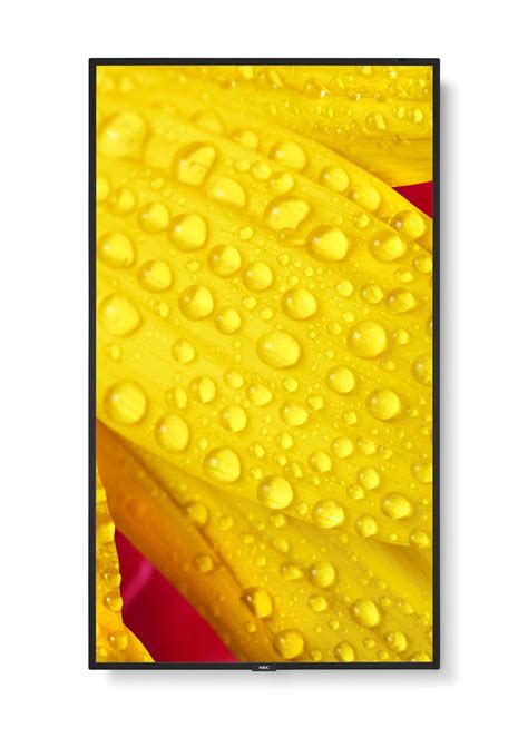 Nec Multisync M651 2 65 Display 65 1000033744