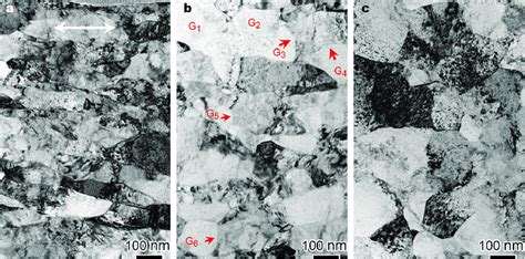 Representative Bright Filed Tem Micrographs Showing Microstructure Download Scientific Diagram