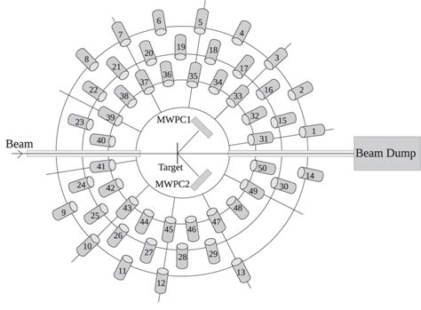 Schematic Of The Detector Setup Of Nand Array Used In The Present