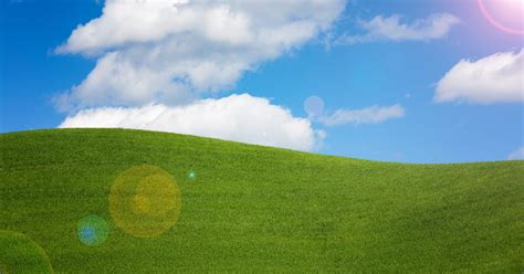 바탕 화면의 모든 배경화면