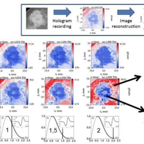 A Schematic Process For Obtaining Images Using The Thz Ptdh Method A