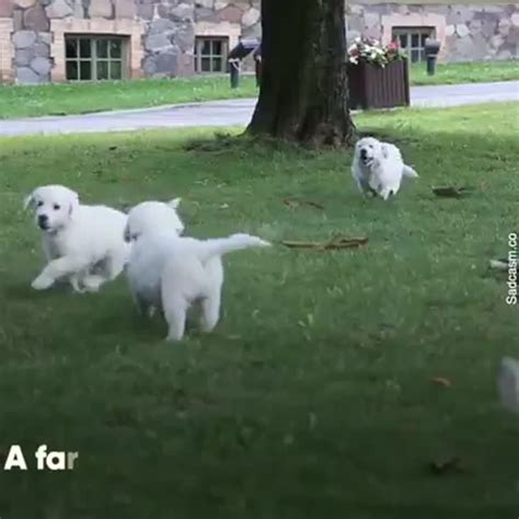 Shruti Srivastava On Linkedin Storyoftheday Behumble