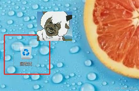 利用回收站隐藏文件 Csdn博客
