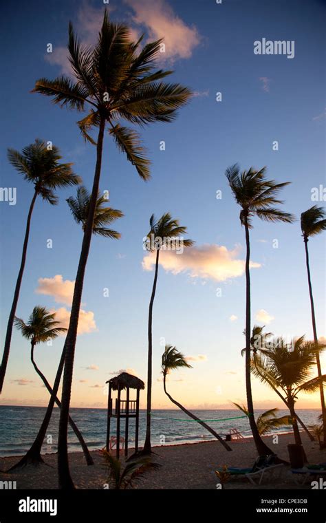 Bavaro Beach At Sunrise Punta Cana Dominican Republic West Indies