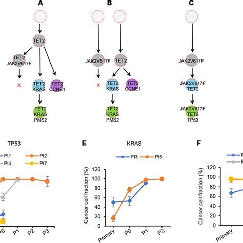 Contributions Of Recurrent Genetic Mutations To The Clonal Expansion Of