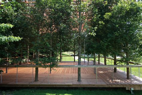 Apl Design Workshop Creates Foyer Disguised By Trees For Open Air Theatre