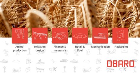 Obaro On Linkedin Obaro Alignedwiththefarmer