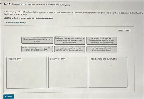 Solved Part A ﻿comparing Chromosome Separation In Bacteria