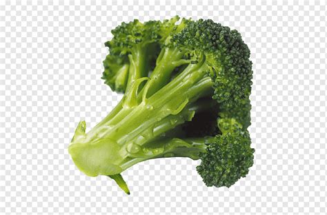 브로콜리 음식 먹는 영양 브뤼셀 새싹 브로콜리 잎 야채 식품 먹기 Png Pngwing