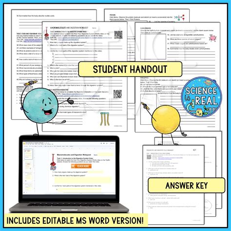 Macromolecules And Digestion Webquest Science Is Real Education