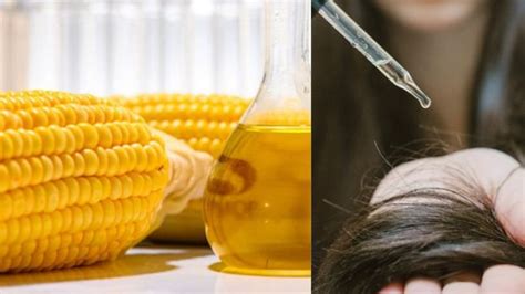 Corn Oil Benefits For Hair How To Use Corn Oil For Hair ⋆ The Health