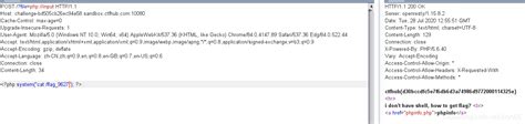 Ctfhub技能树web之rce——“phpinput”burpsuite Rce 执行php命令 Csdn博客