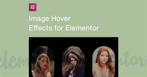 Image Hover Elements Wp Plugins Ft Elementor And Media Envato Elements