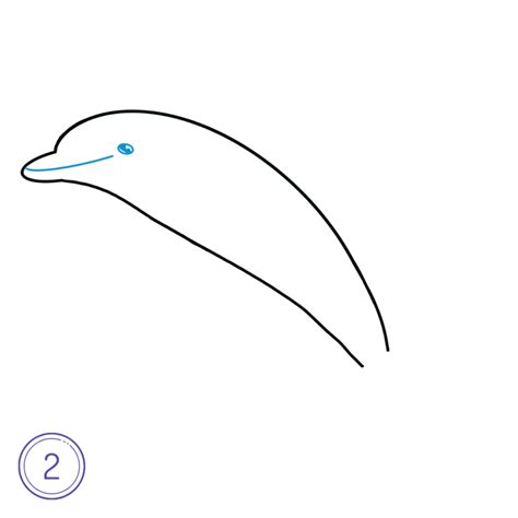 How To Draw A Dolphin Step By Step How To Mimi Panda