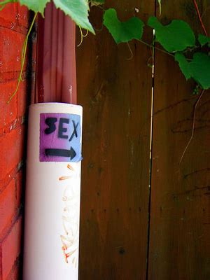 Featured Multimedia Sex Connect Mason