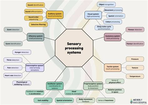 What Are Sensory Processing Difficulties Weirdly Successful