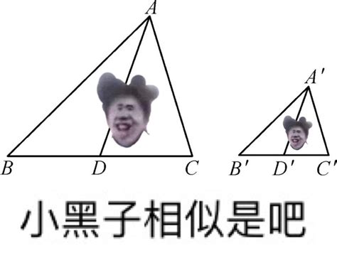 【ikun】蔡徐坤表情包第一弹 哔哩哔哩