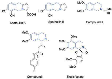 Natural And Synthetic Isoquinoline Derivatives With Antimicrobial