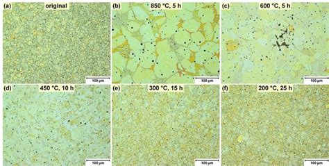 Microstructures Of The Heat Treated Brass Samples In Lom Etched With Download Scientific