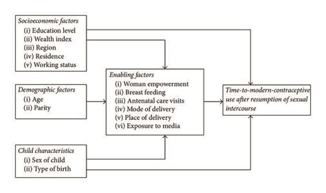 Conceptualization Of Factors Associated With Time To Contraceptive Use Download Scientific