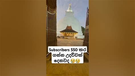 සේරුවාවිල විහාරය ඔබ සෑම දෙනාගේම බලාපොරොත්තු ඉෂ්ඨ වේවා Viralvideo Viralshorts Nature