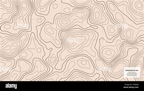 Topographic World Map Geographic Contour Grid Stock Vector Image Art Alamy