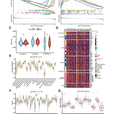 Distinct Pathways And Tumor Immune Microenvironment Time Download Scientific Diagram