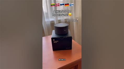 Как подключить и как настроить колонку Алиса😱 Инст Electronics Latvia алиса колонка яндекс