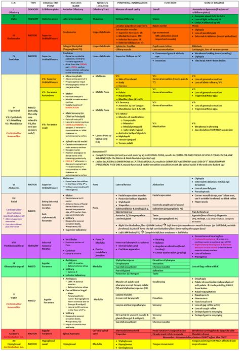 Neuroanatomy Cranial Nerves With Mnemonics Type Cranial Exit Point Nucleus Name Nucleus