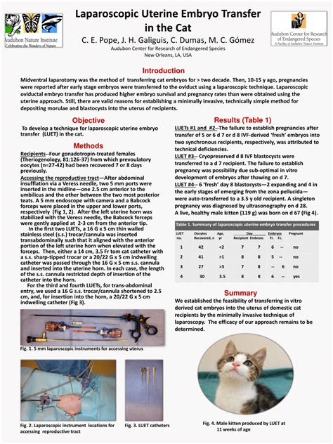 Pdf 156 Laparoscopic Uterine Embryo Transfer In The Cat