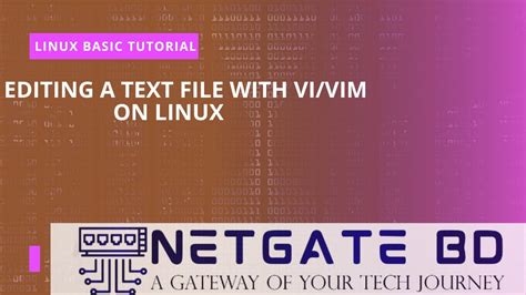 Editing A Text File With VI VIM On Linux Linux NetGate BD YouTube