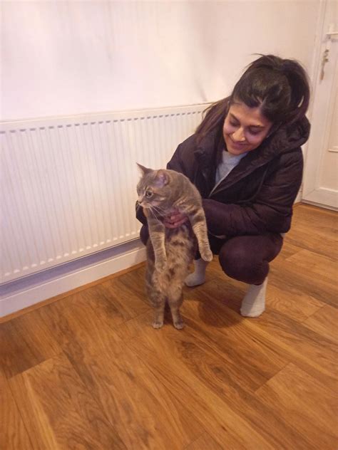 Meera Patel Posted On Linkedin