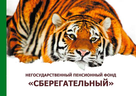 Brochure Npf On Behance Behance