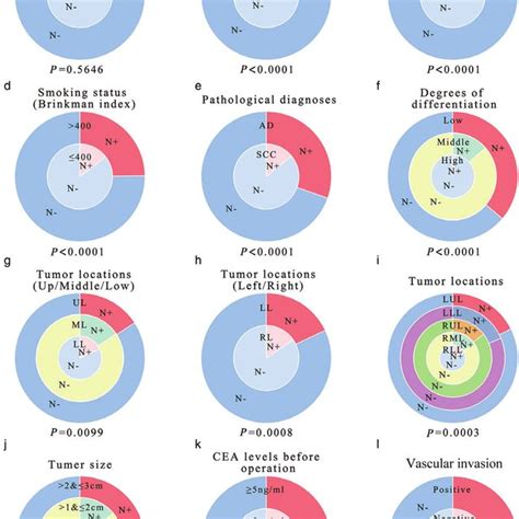 Different Tumor Histology Of Lymph Node Metastasis In Different Lung