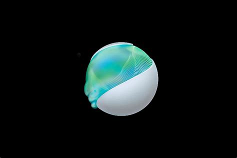 Deloittes Technology Risk Management Framework