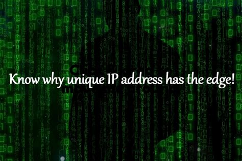 Unique And Shared IP Addresses What You Need To Know Knowledge Base BodHOST
