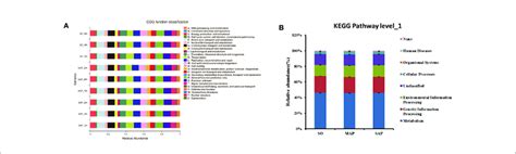 The Function Predicted For 16s Rrna By Picrust A For Cogs In Three