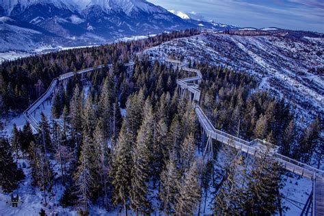 Treetop Walk Bachledka Winter Wonder Near Zakopane