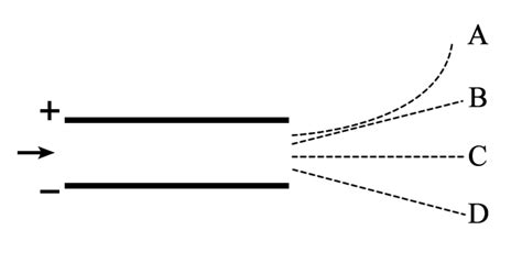 Mcat Sample Questions Try Out These Free Mcat Practice Questions