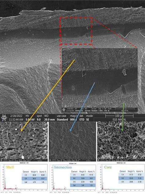 Sem Images And Eds Results Of Aerogel Cross Section The Outer Wall Of Download Scientific