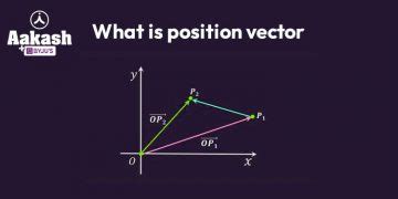 What Is Position Vector