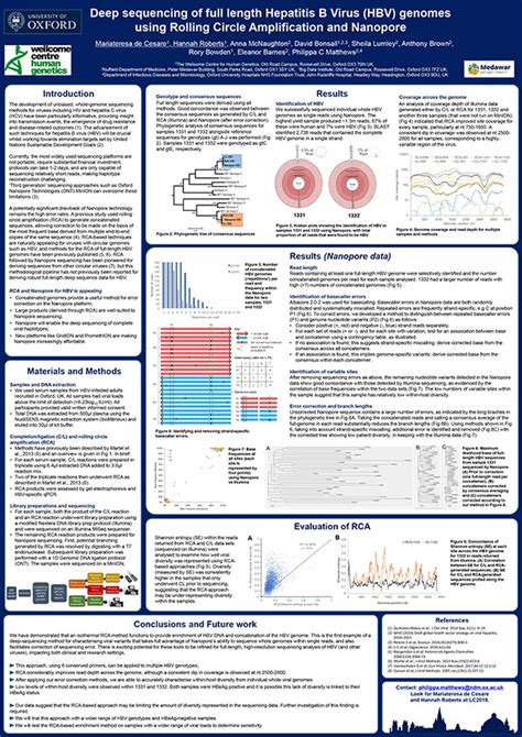 Deep Sequencing Of Full Length Hepatitis B Virus Hbv Genomes Using